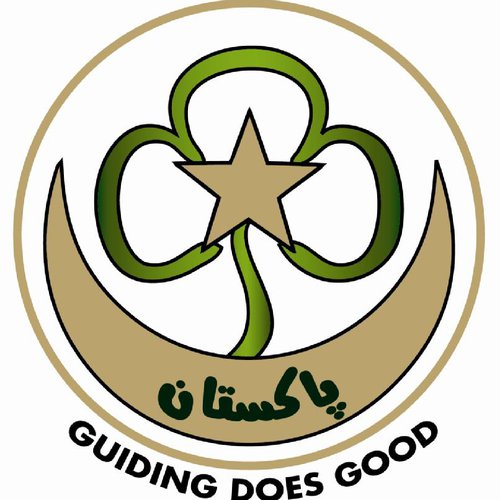 Pakistan Standard Logo